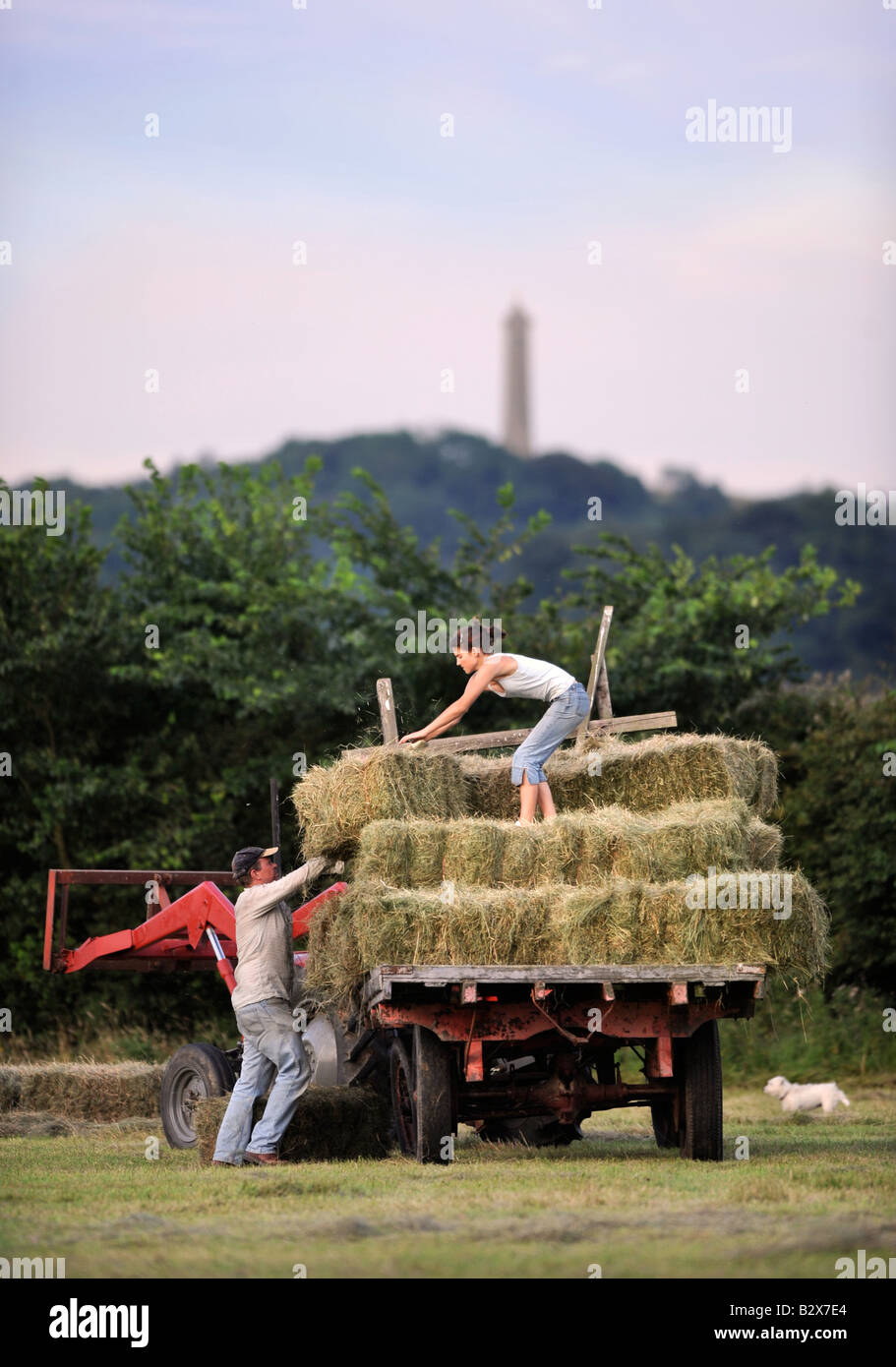Farm workers england hi-res stock photography and images - Alamy