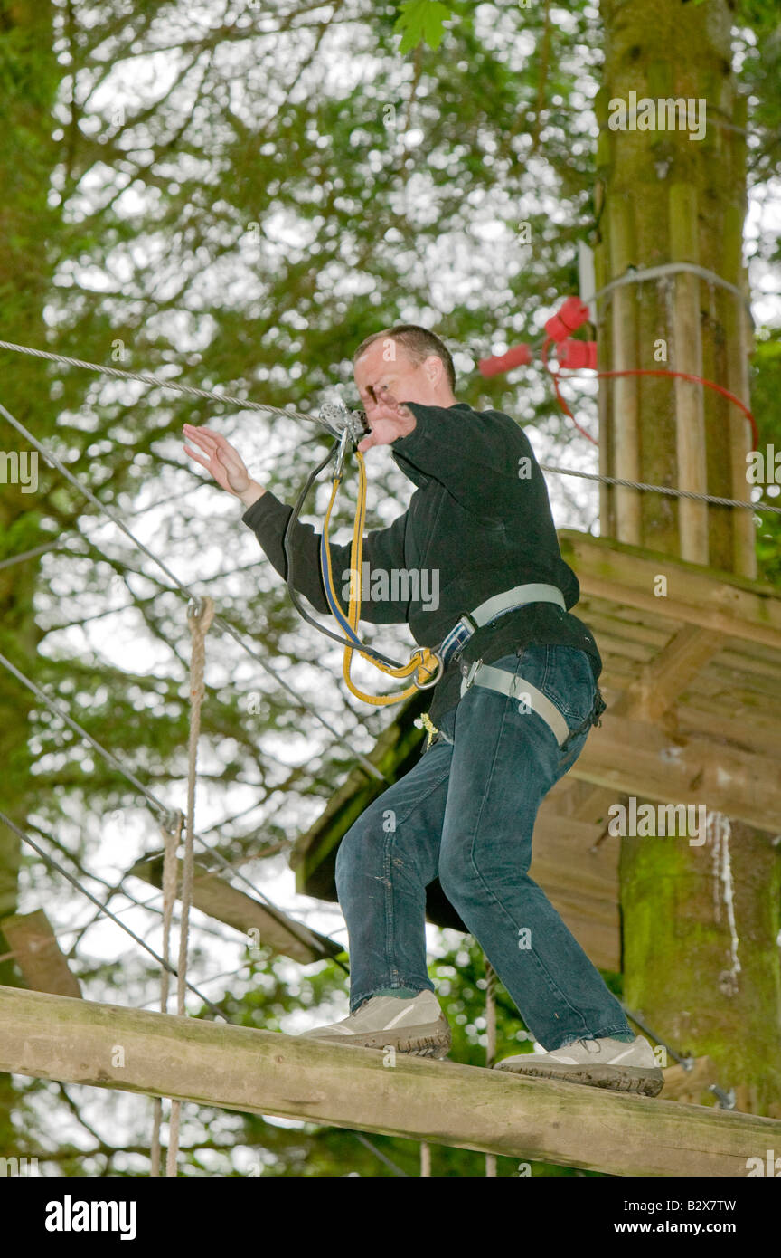 A man on the the Go Ape aerial challenge in Grizedale Forest in Cumbria ...