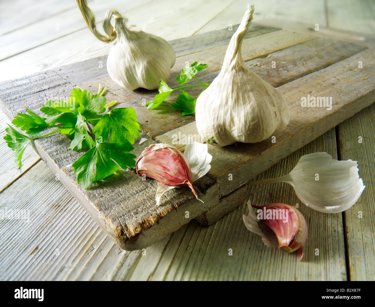 Fresh Garlic and Coriander leaves Stock Photo - Alamy