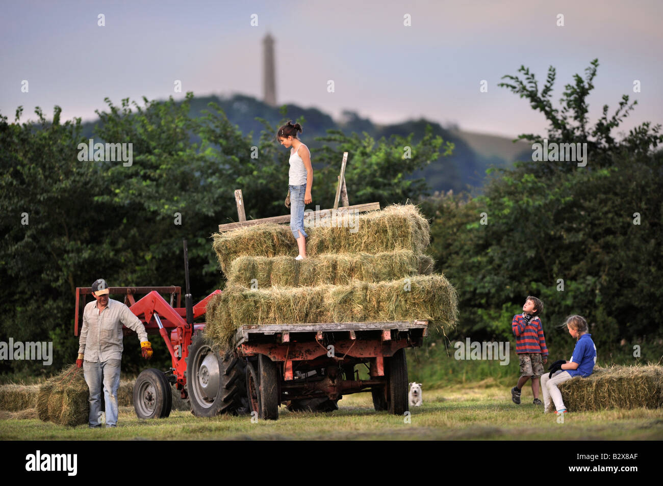 A FARMING FAMILY COLLECTING HAY IN THE TRADITIONAL STYLE IN ...