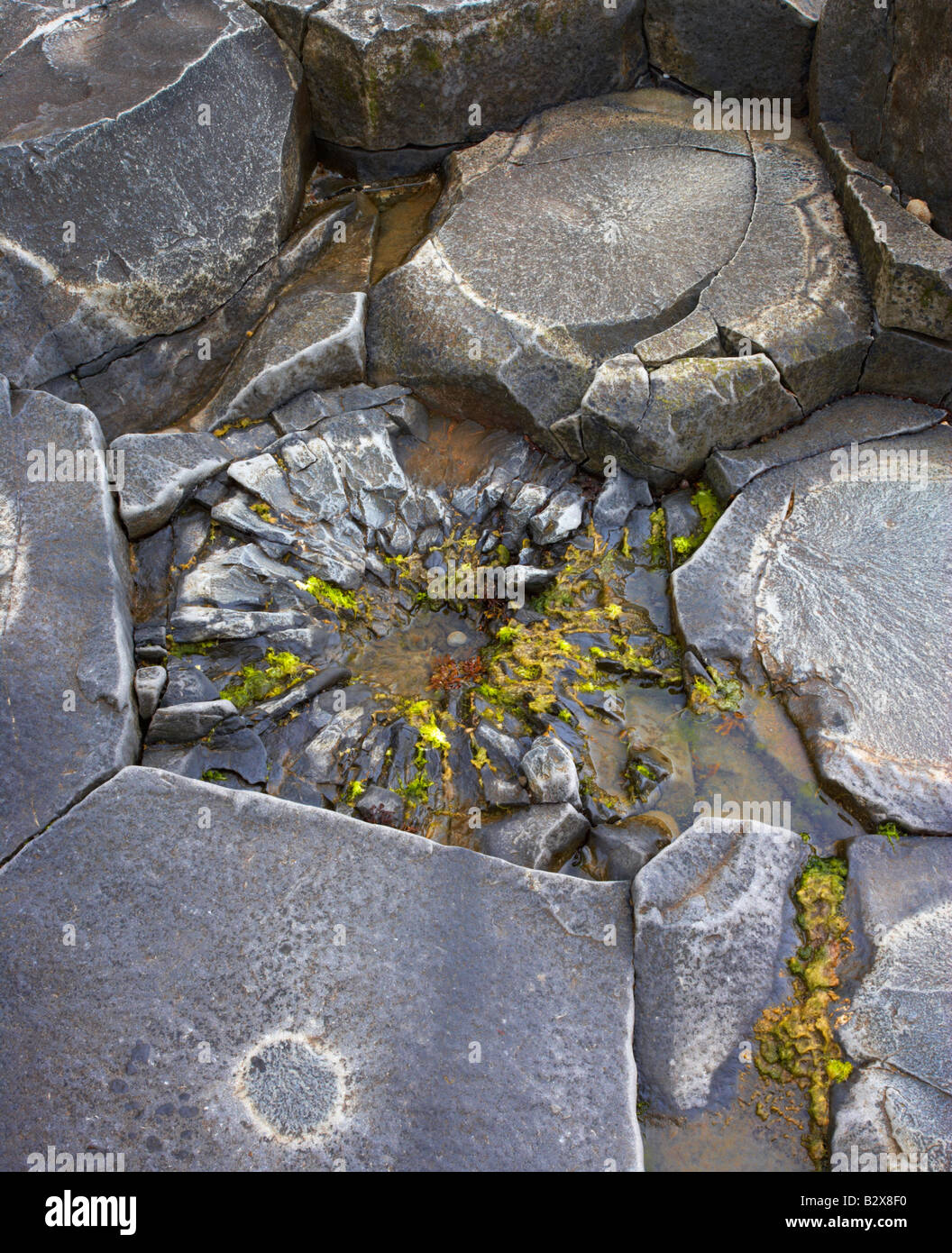 Shoreline study at Hofsos on Iceland's Trollaskagi peninsula Stock ...