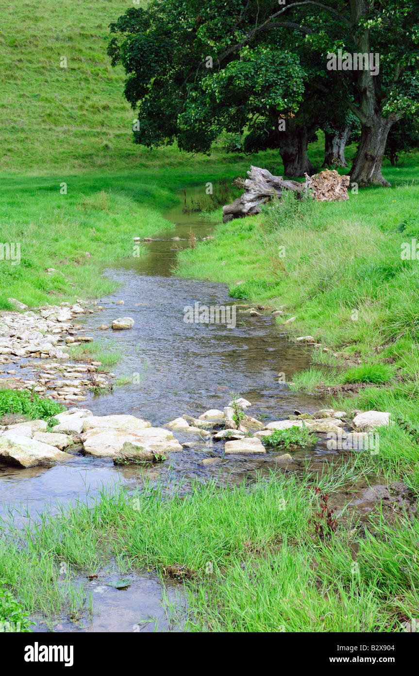 Stepping stream uk hi-res stock photography and images - Alamy