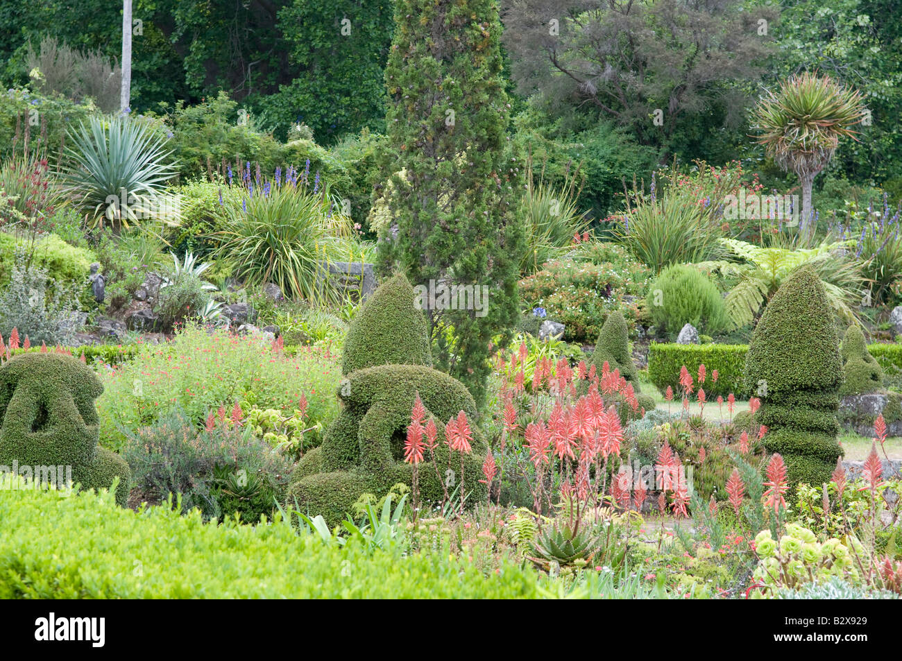 Conifers Shrubs Tropical Garden Stock Photo - Alamy