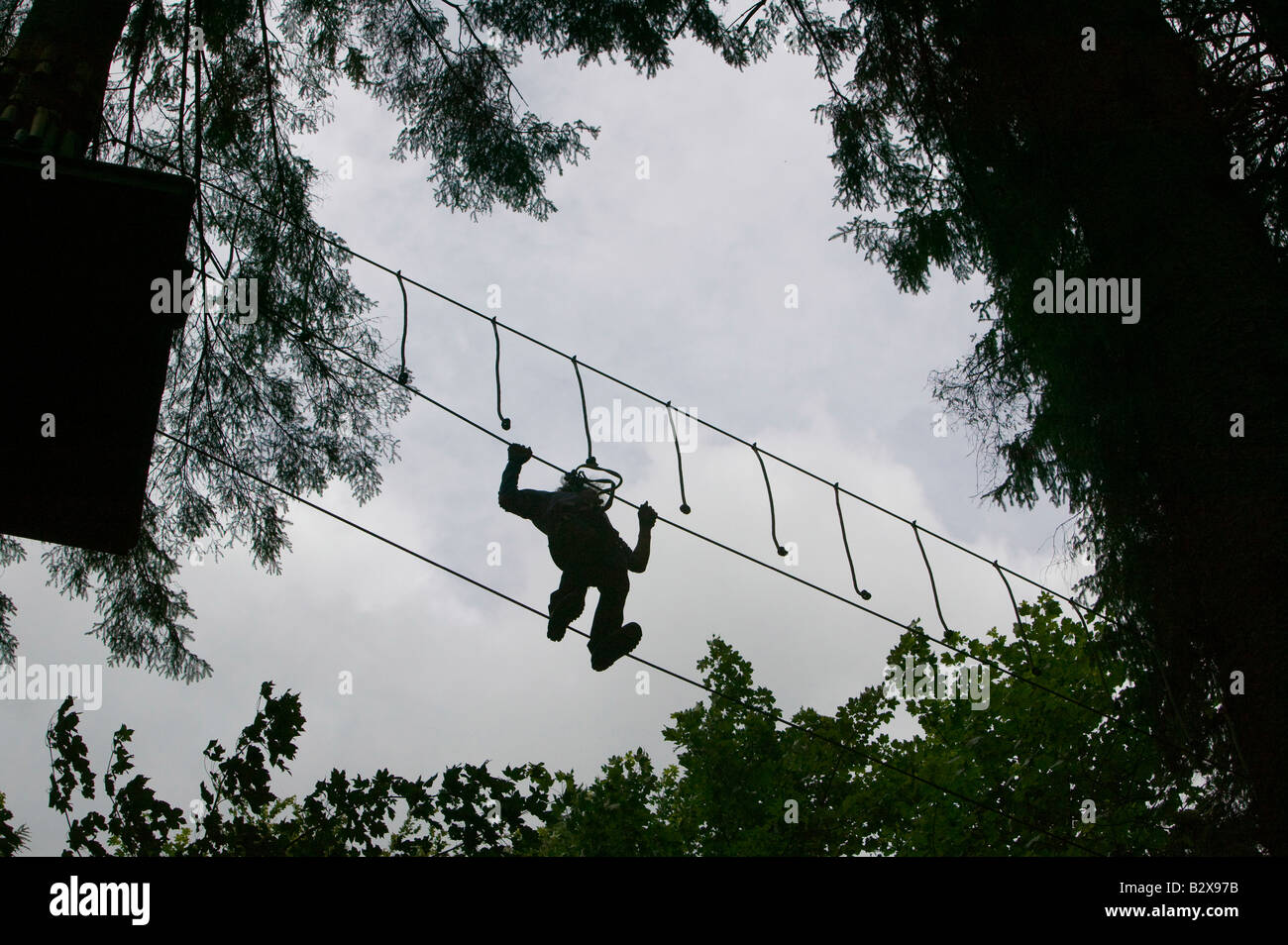 A women on the the Go Ape aerial challenge in Grizedale Forest in ...