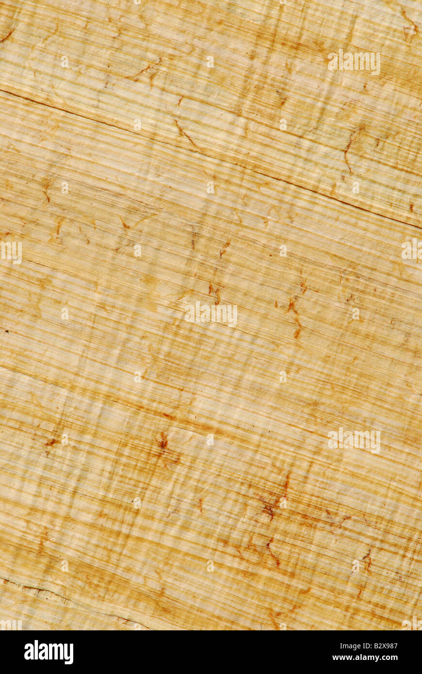 Papyrus paper texture hi-res stock photography and images - Alamy