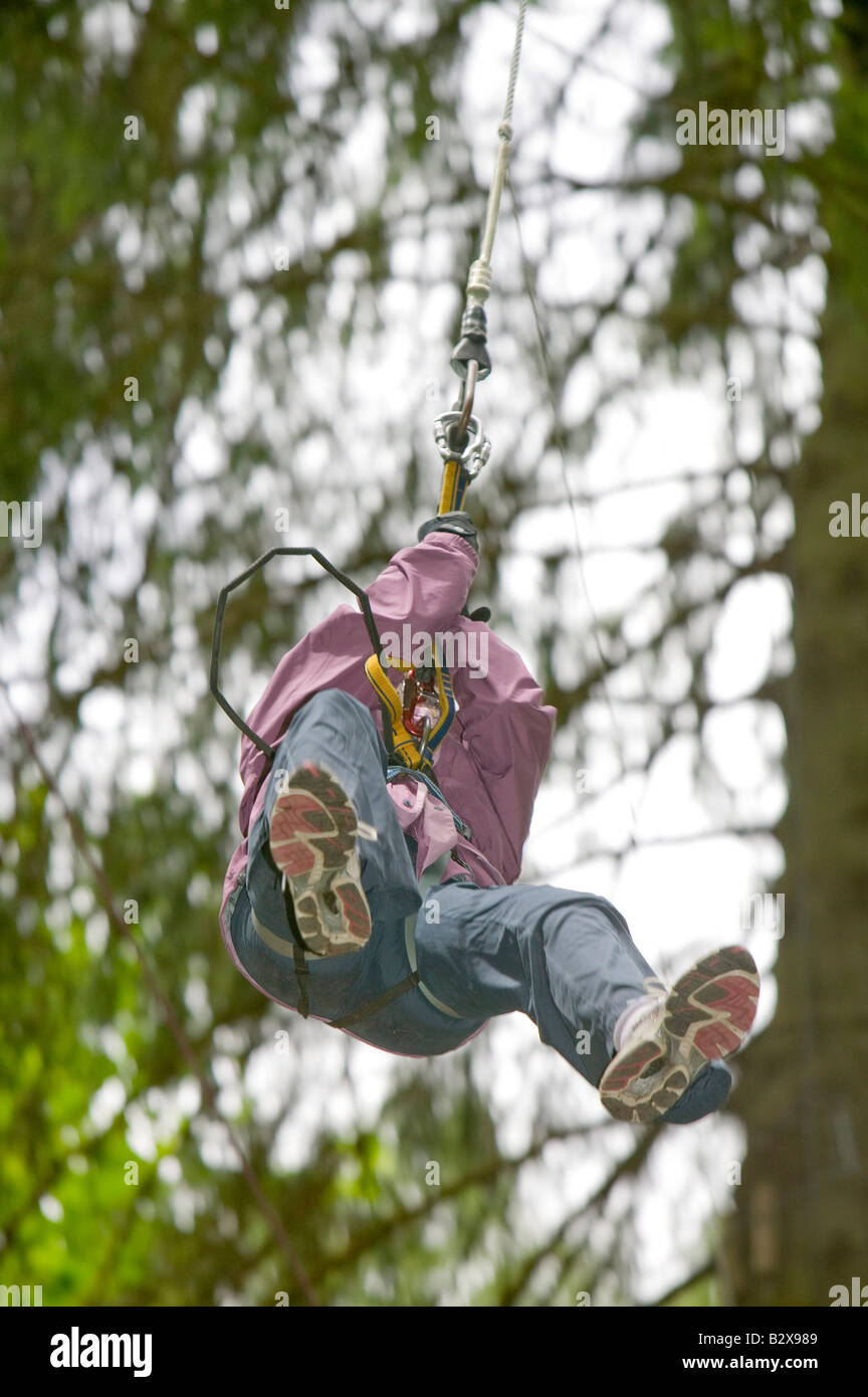 A women on the the Go Ape aerial challenge in Grizedale Forest in ...