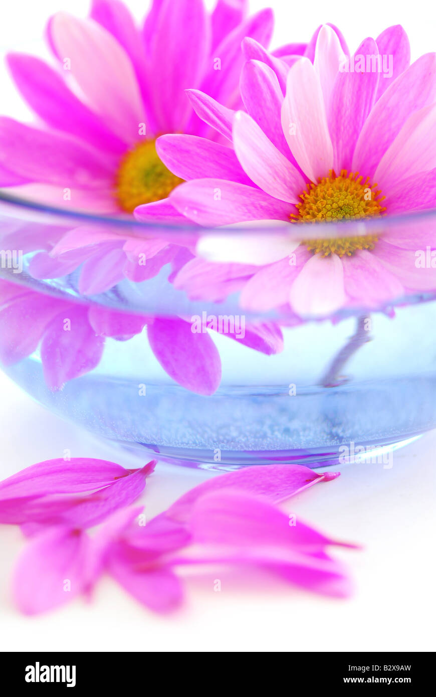 Floating wedding flowers hi-res stock photography and images - Alamy