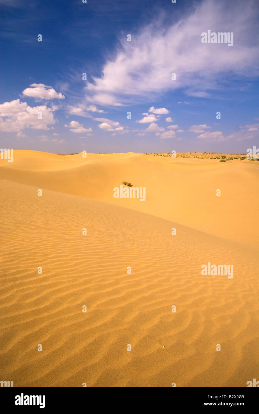 Sam Sand Dunes, Great Thar Desert, Rajasthan, India, Subcontinent, Asia ...