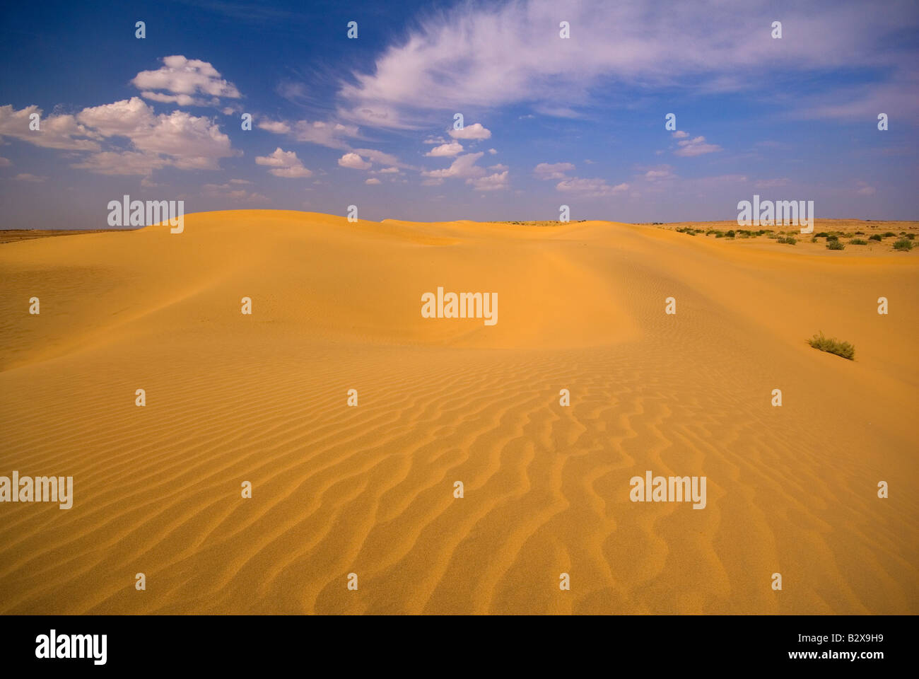 Sam Sand Dunes, Great Thar Desert, Rajasthan, India, Subcontinent, Asia ...