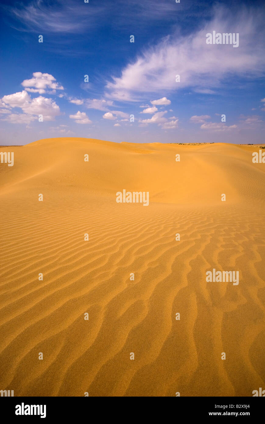 Sam Sand Dunes, Great Thar Desert, Rajasthan, India, Subcontinent, Asia ...