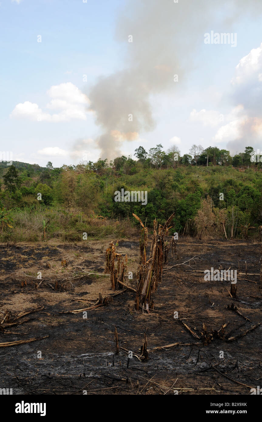 Slash and burn farming fire hi-res stock photography and images - Alamy