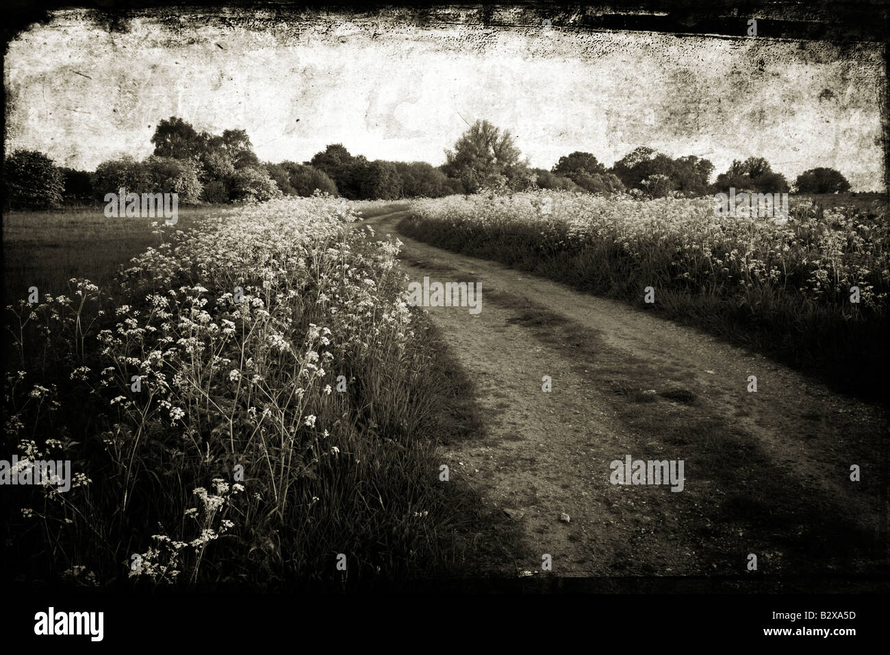 A field in rural Norfolk in Spring Textures added in photoshop Stock ...