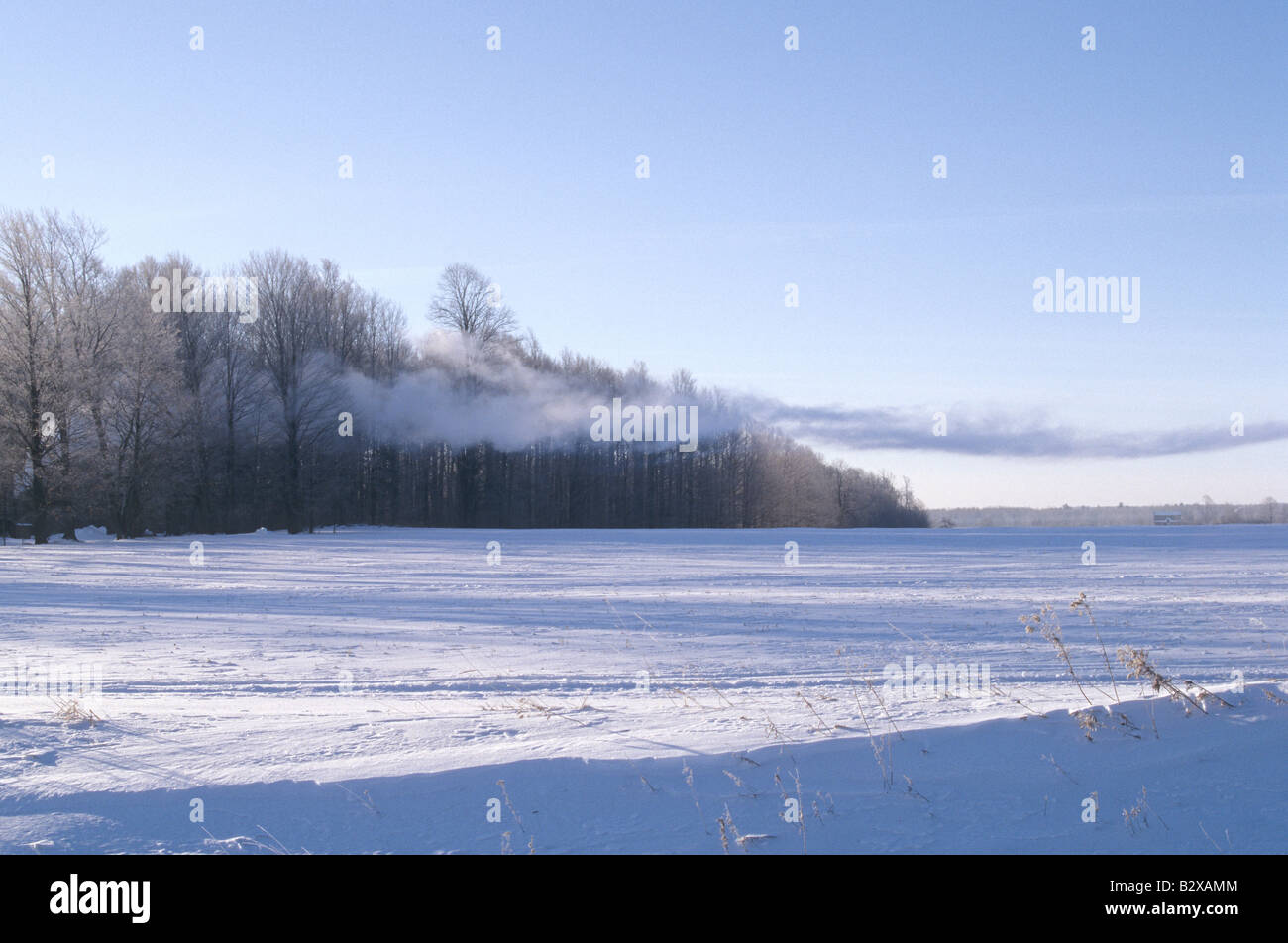 Smoke from wood furnace demonstrates temperature inversion in winter ...