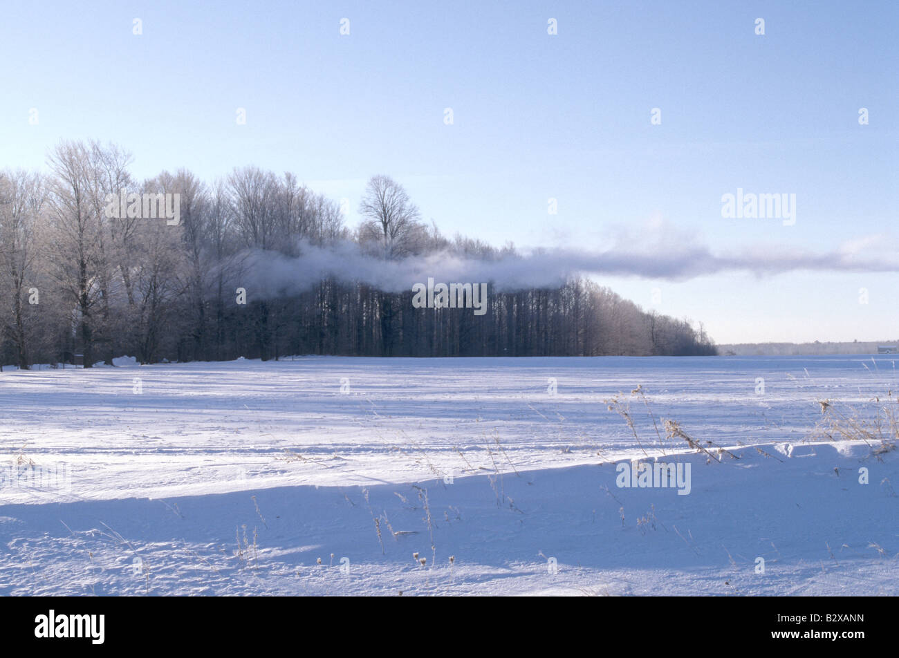Smoke from wood furnace demonstrates temperature inversion in winter ...