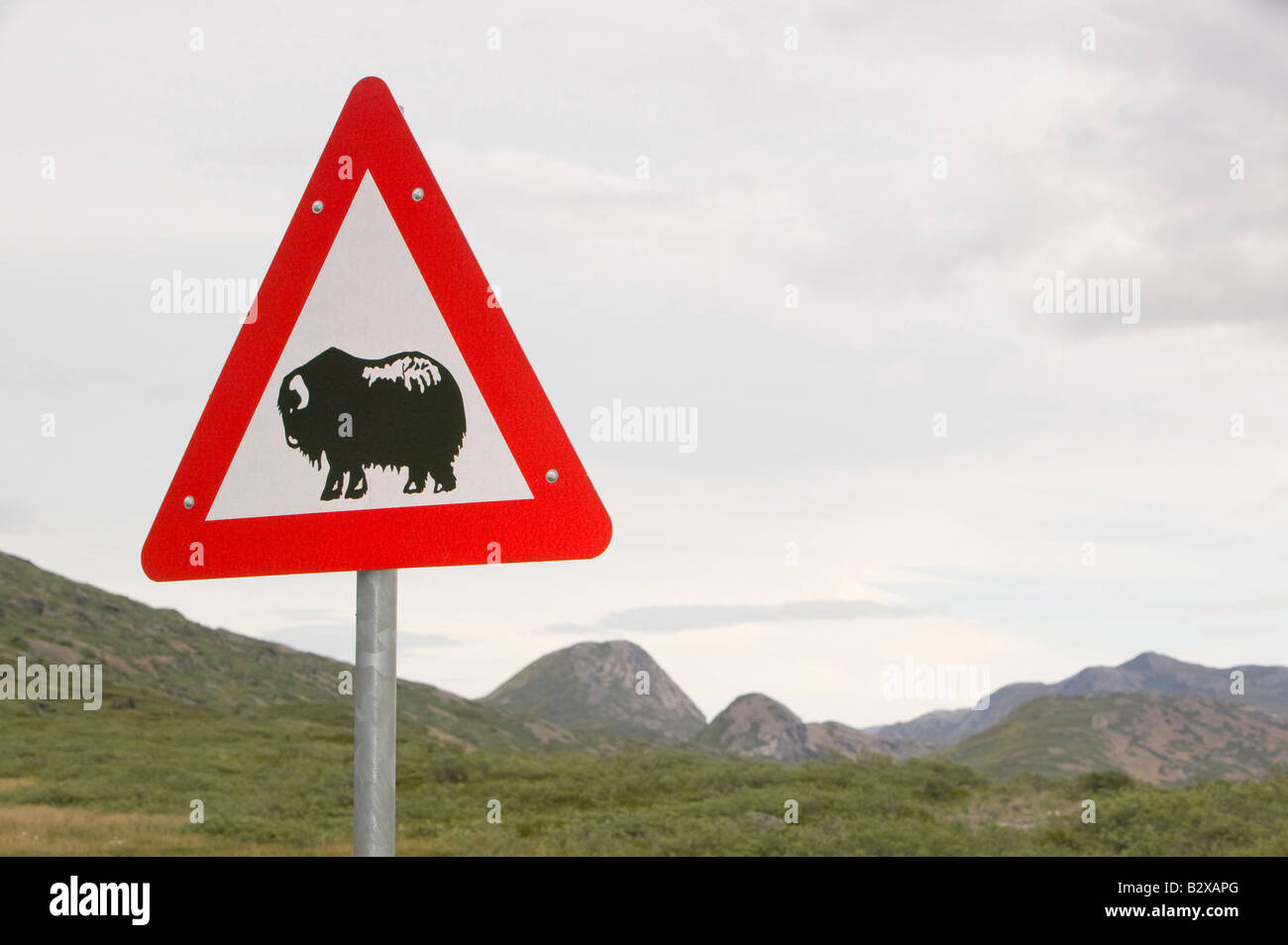A road sign warning motorists of Musk Ox on the road to the Russell ...