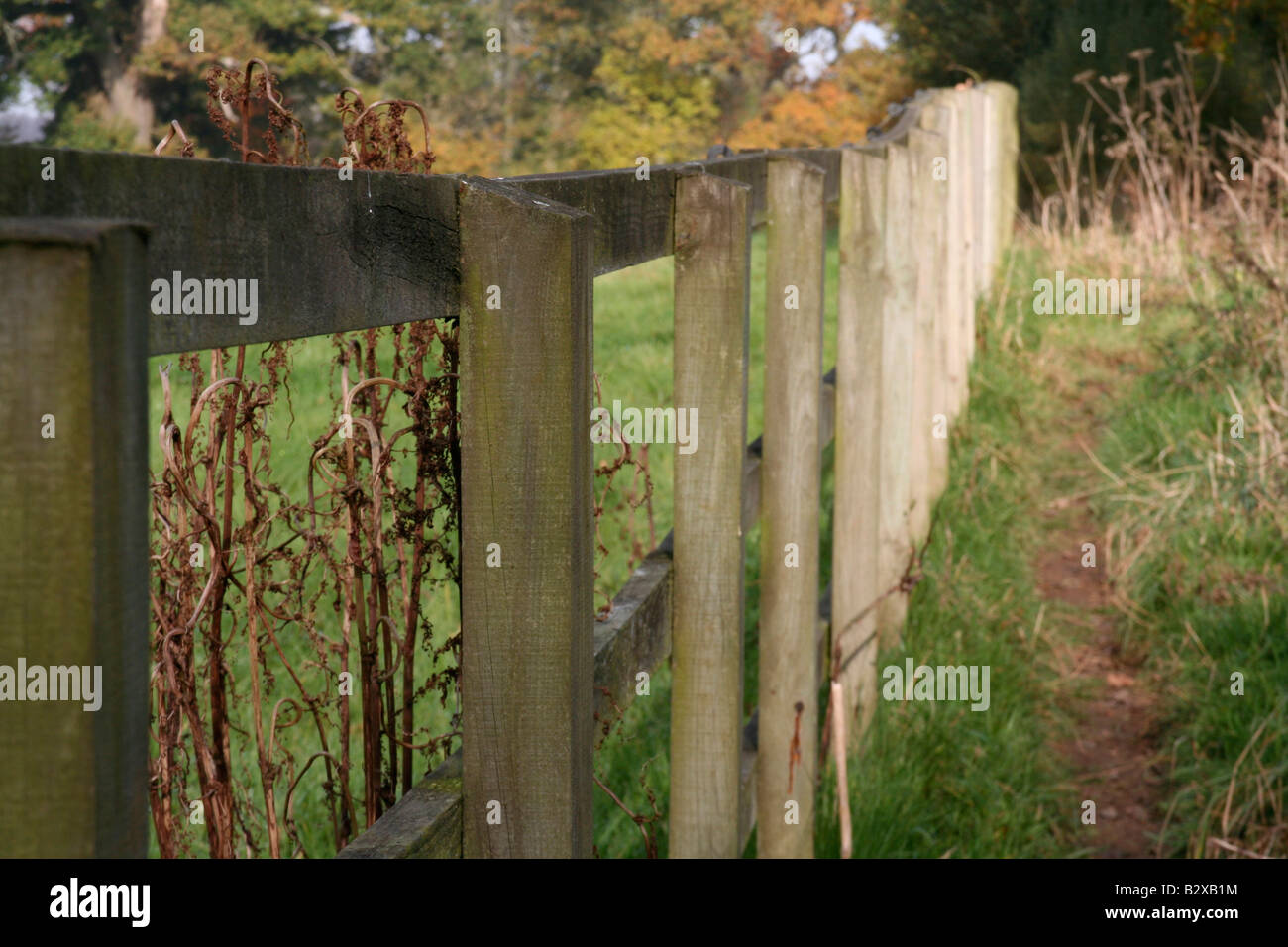 Wooden fence alongside the Monarchs Way footpath. Taken near Stratford ...