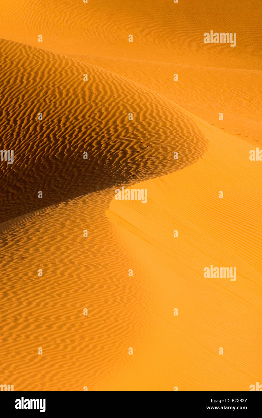 Sam Sand Dunes, Great Thar Desert, Rajasthan, India, Subcontinent, Asia ...