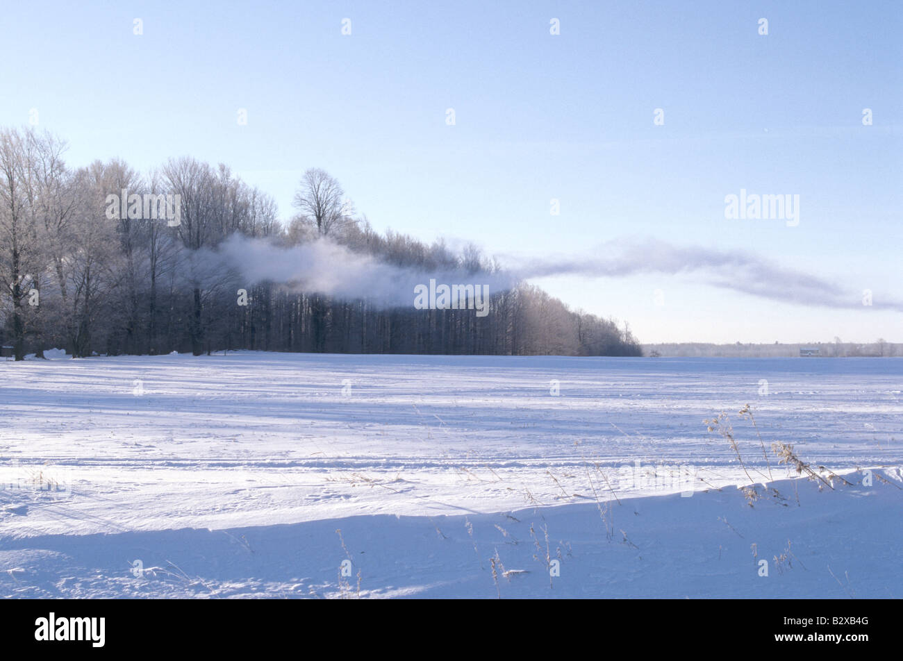 Smoke from wood furnace demonstrates temperature inversion in winter ...