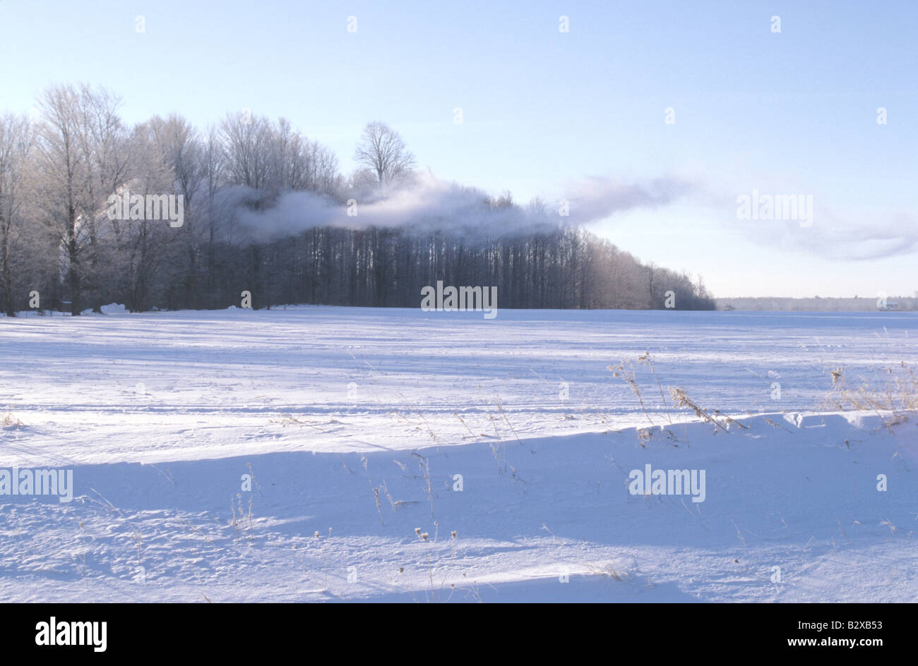 Smoke from wood furnace demonstrates temperature inversion in winter ...