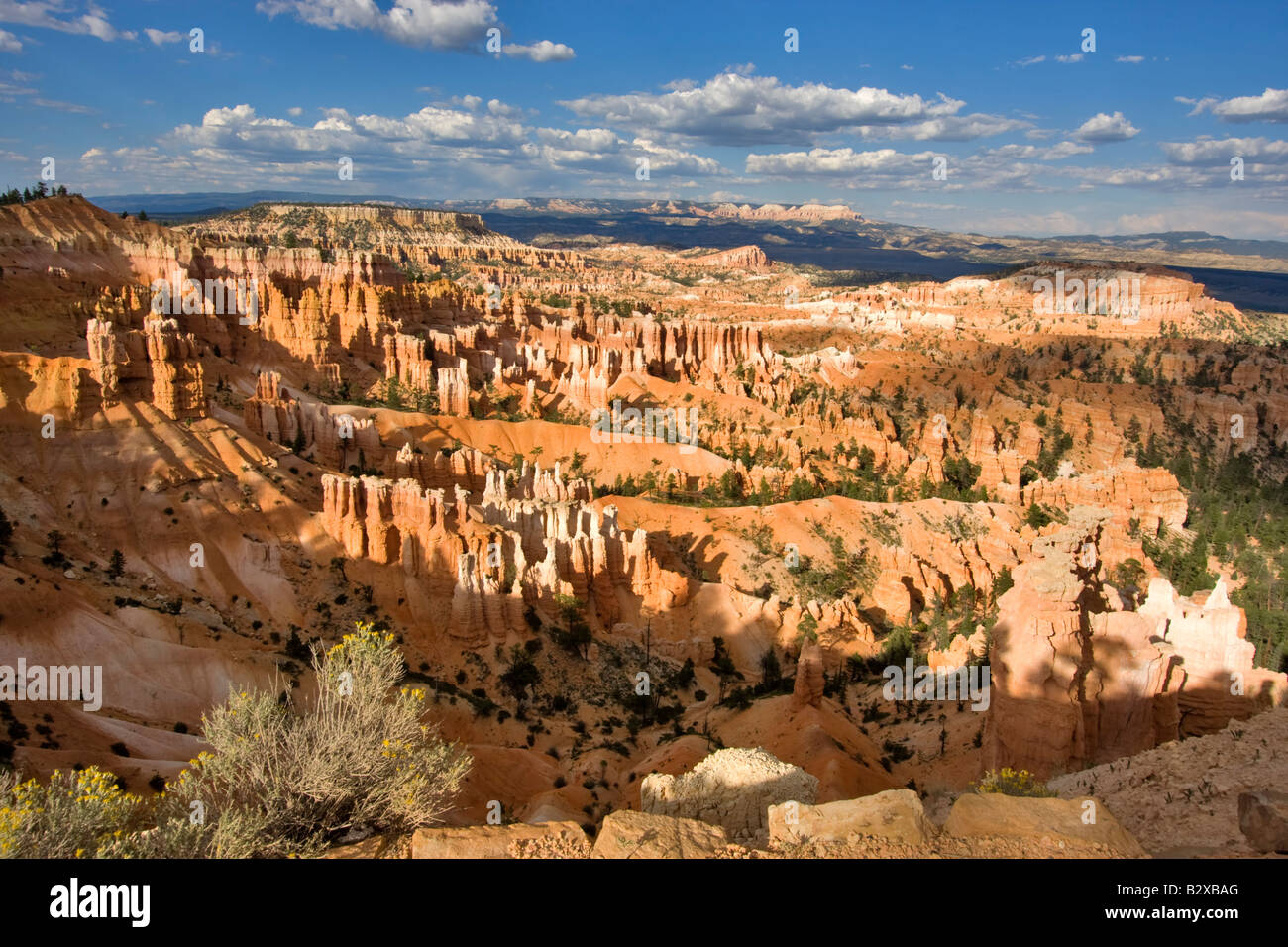 Bryce Amphitheatre from Sunset Point Stock Photo - Alamy