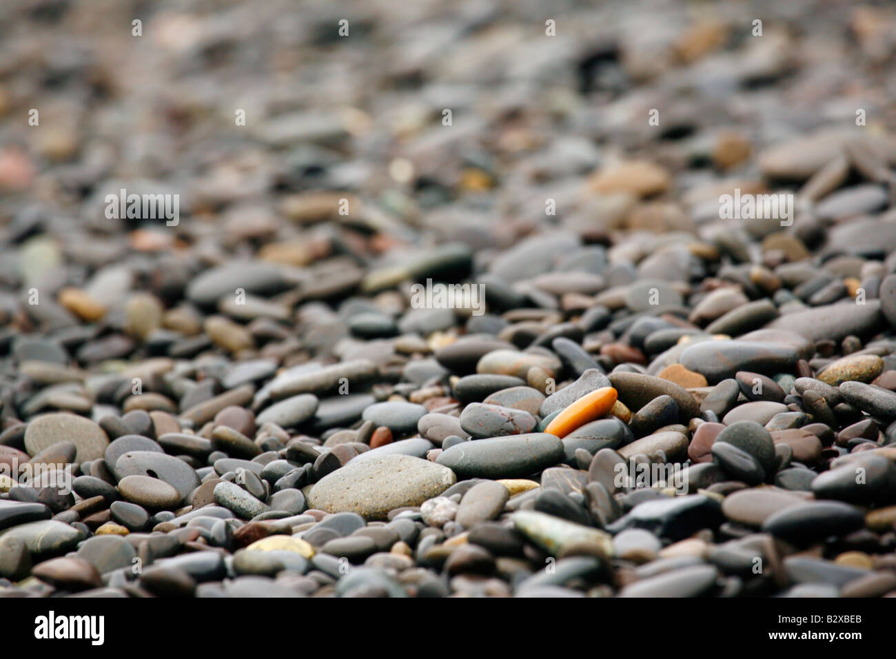 Rocks on rialto beach olympic hi-res stock photography and images - Alamy