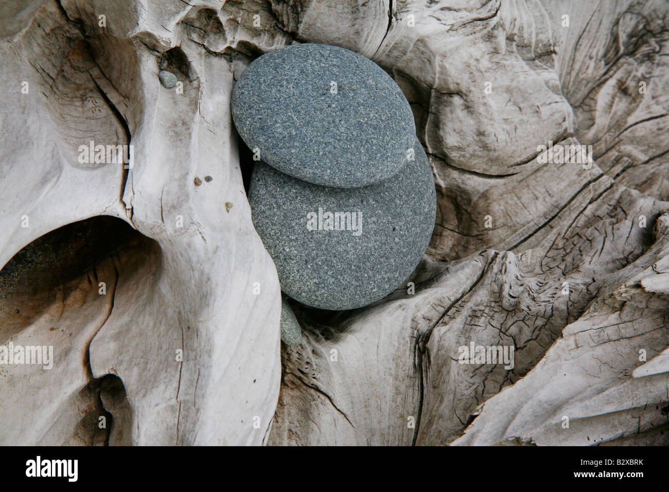 Rocks and driftwood, Pacific coast at Rialto Beach, Olympic National ...