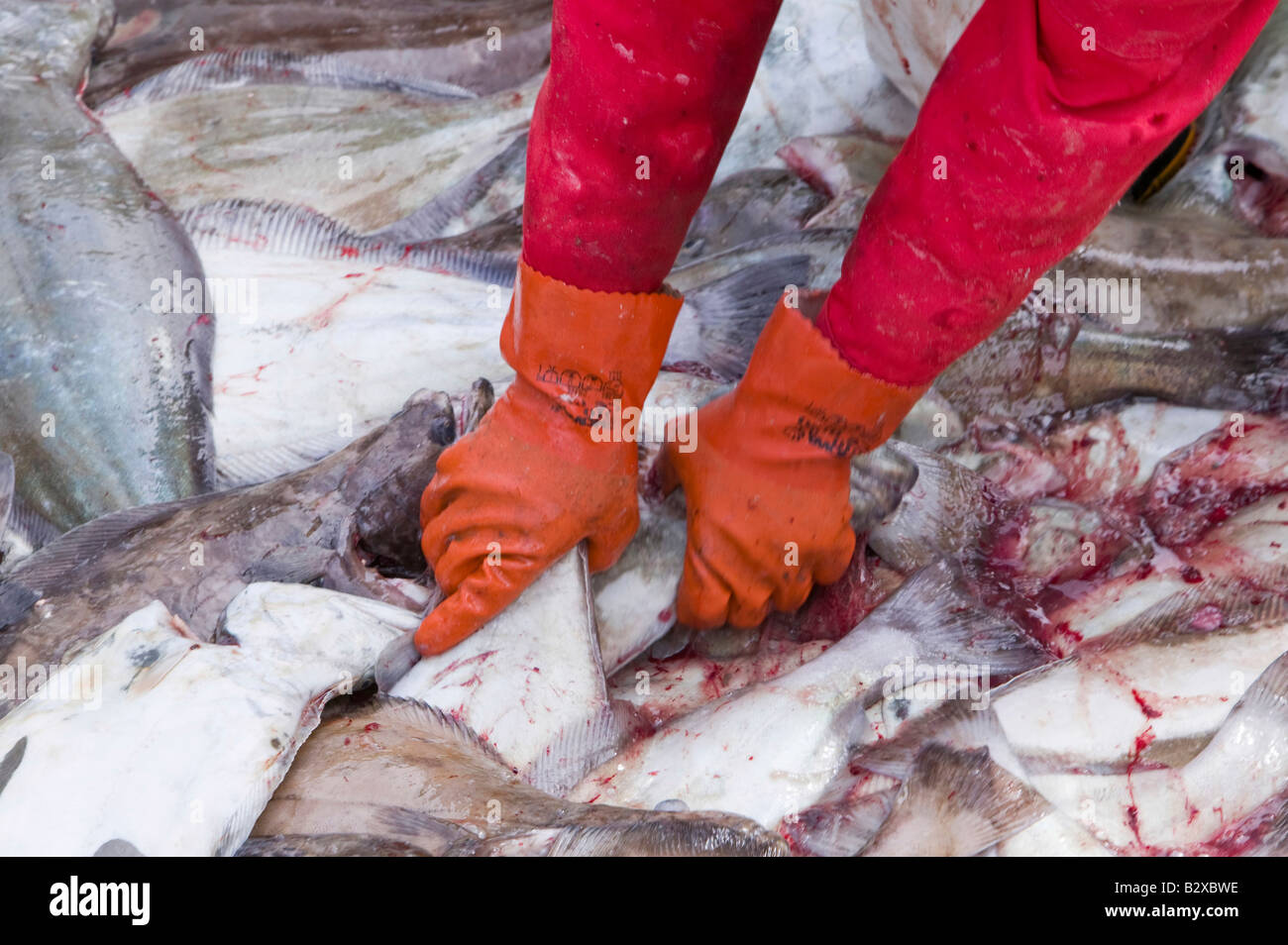 Inuit fisherman hi-res stock photography and images - Alamy