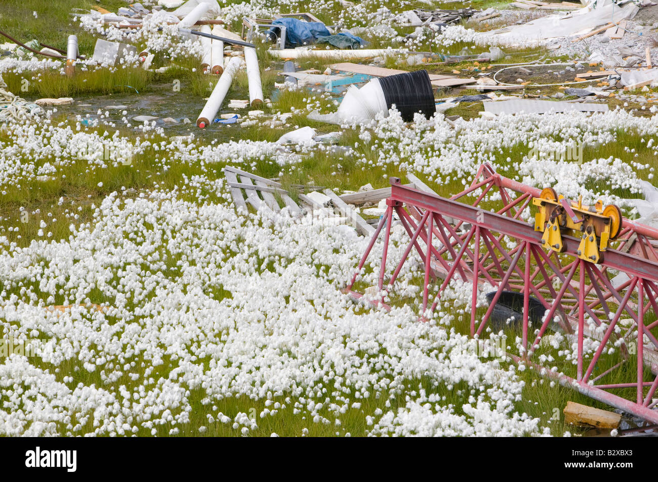 Contamination in the arctic hi-res stock photography and images - Alamy