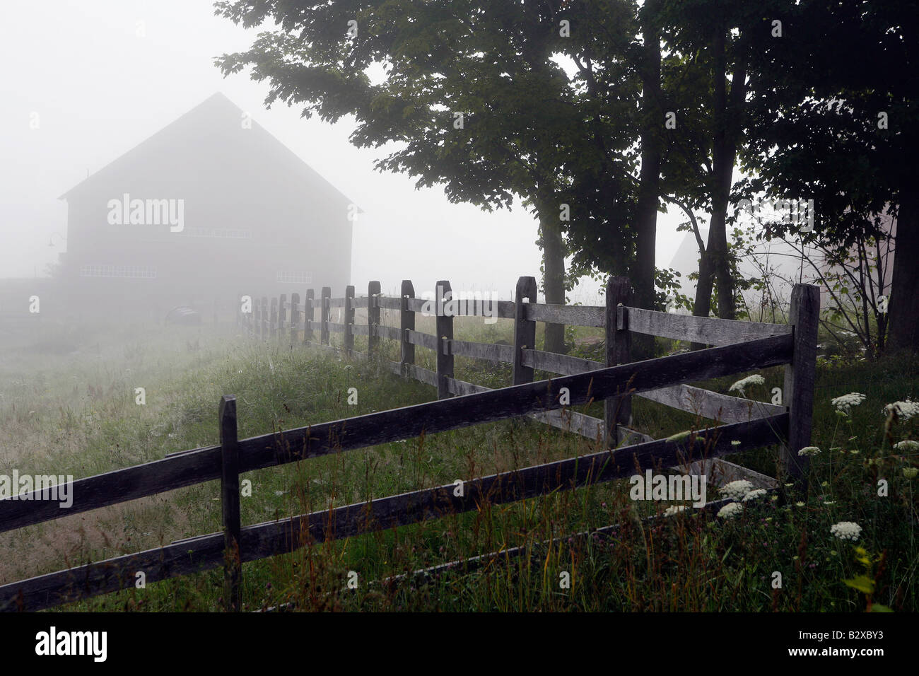 Barn, fence, morning fog, Connecticut River valley, Gill, Massachusetts ...