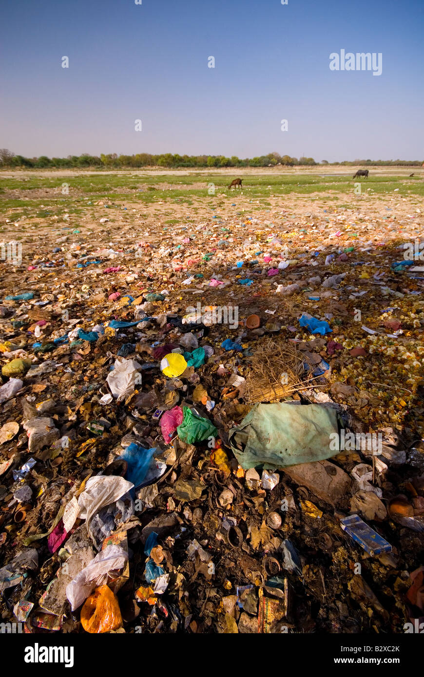 Litter on banks of Yamuna River, Agra City, Uttar Pradesh, India ...