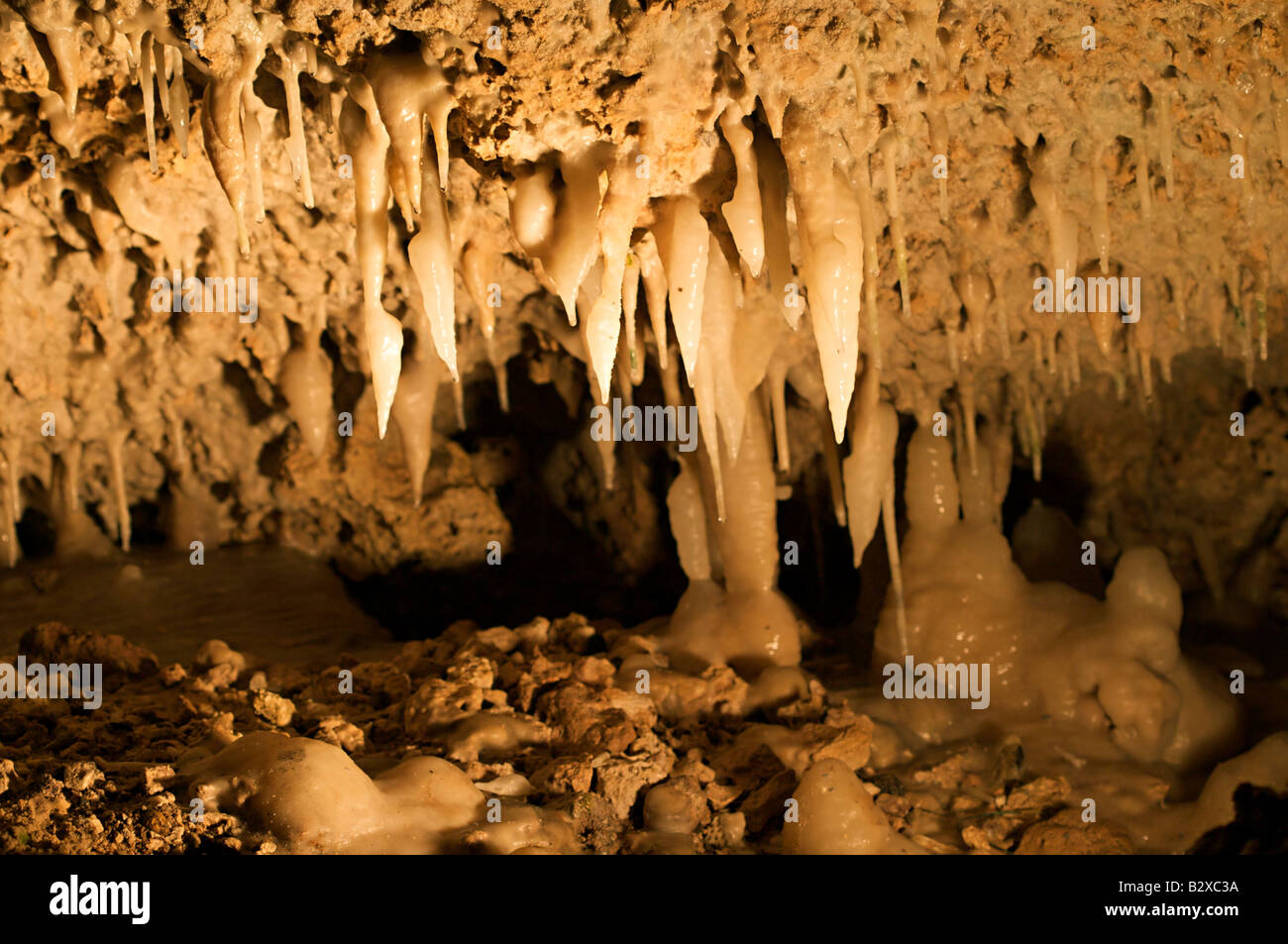 "Harrison's Cave" Barbados Stock Photo - Alamy