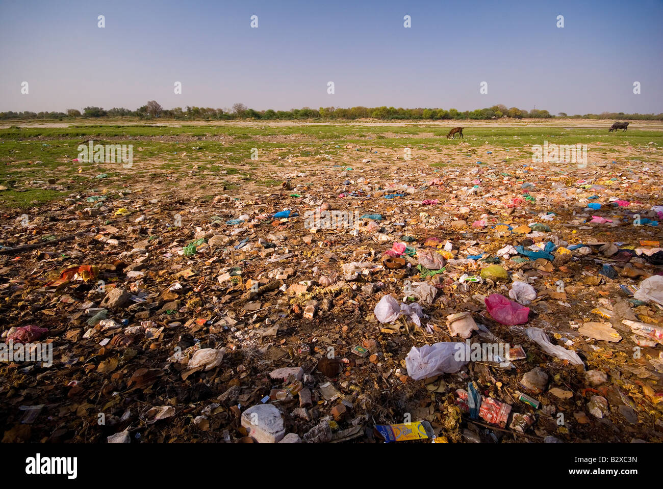 Litter on banks of Yamuna River, Agra City, Uttar Pradesh, India ...