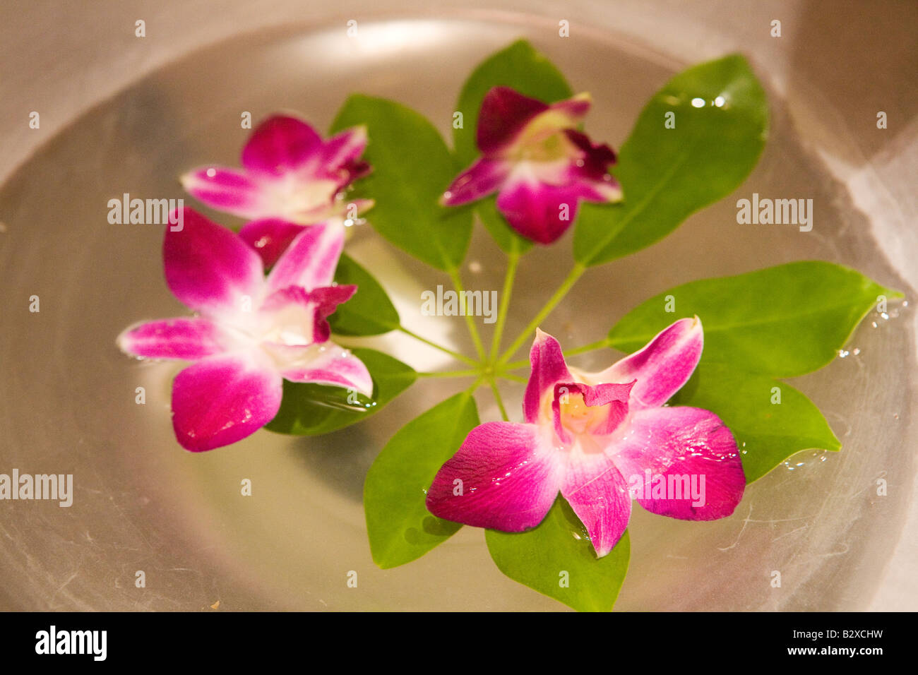 Lotus flower hindu hi-res stock photography and images - Alamy