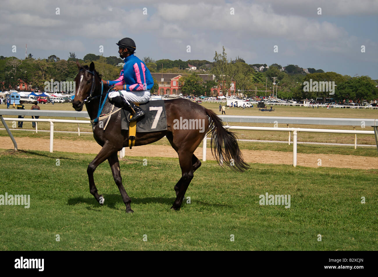 Horse racing barbados caribbean hi-res stock photography and images - Alamy