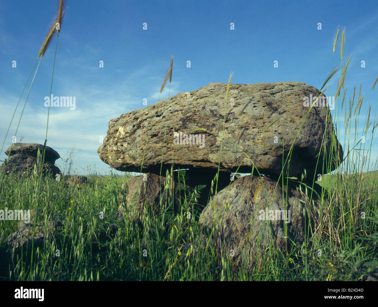 Israel Golan Heights Gamla archeological site Dolmen amongst spring ...