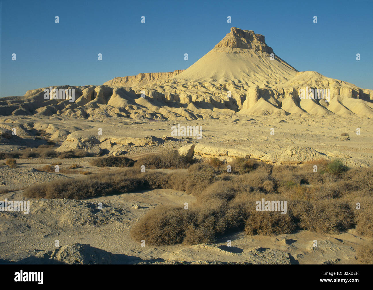 israel negev desert Mount Zin panoramic view with shrubs in frgd Stock ...