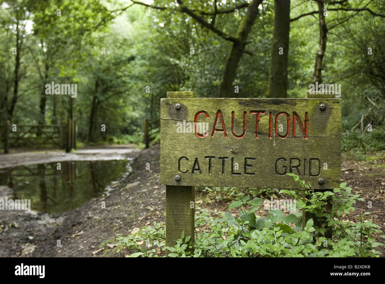 Wooden sign covered in moss hi-res stock photography and images - Alamy