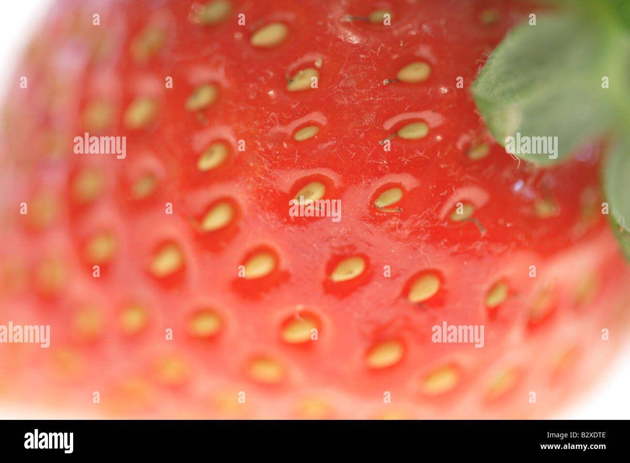 strawberry macro detail #3 - narrow depth of field Stock Photo - Alamy