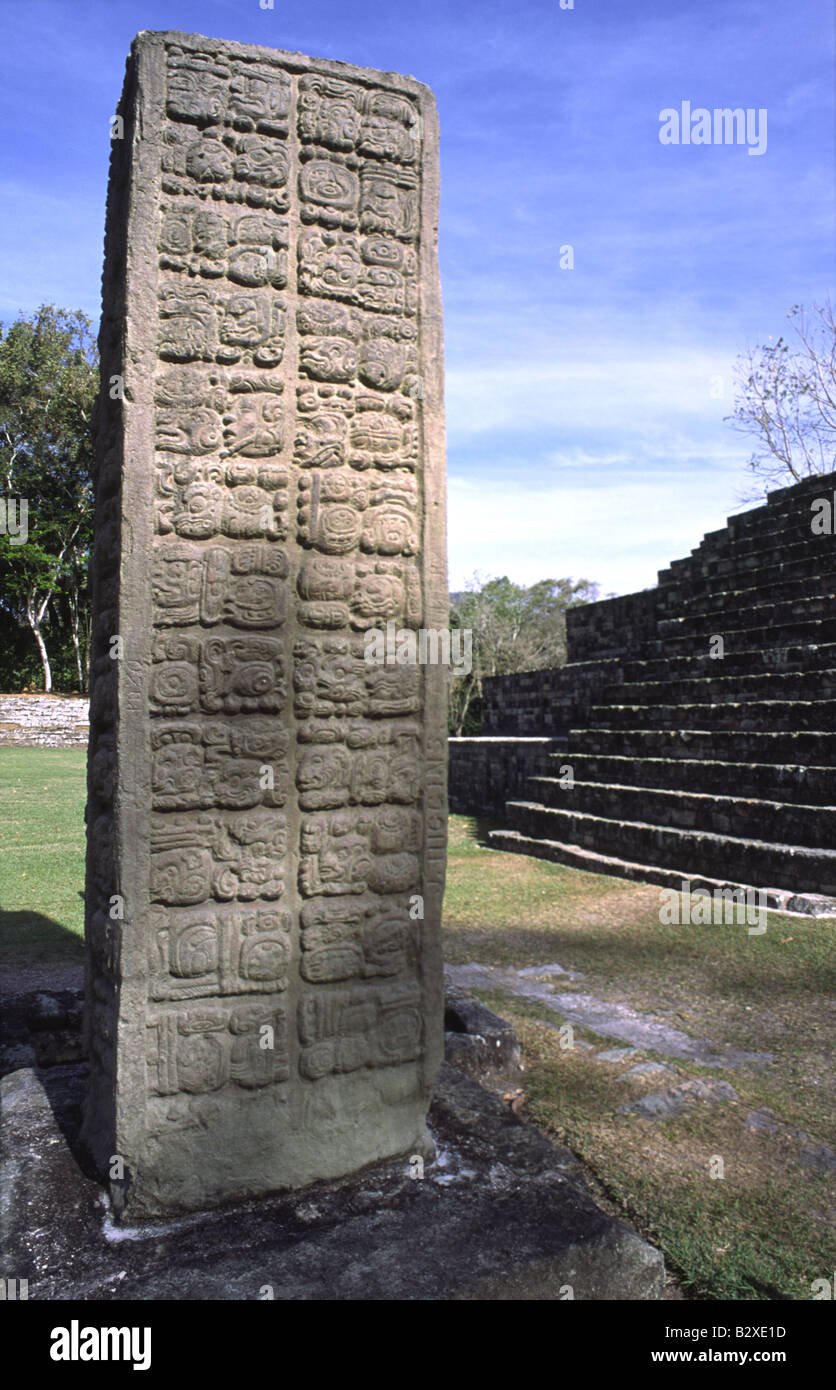 Stela A Mayan ruins of Copan in Honduras Central America Stock Photo ...
