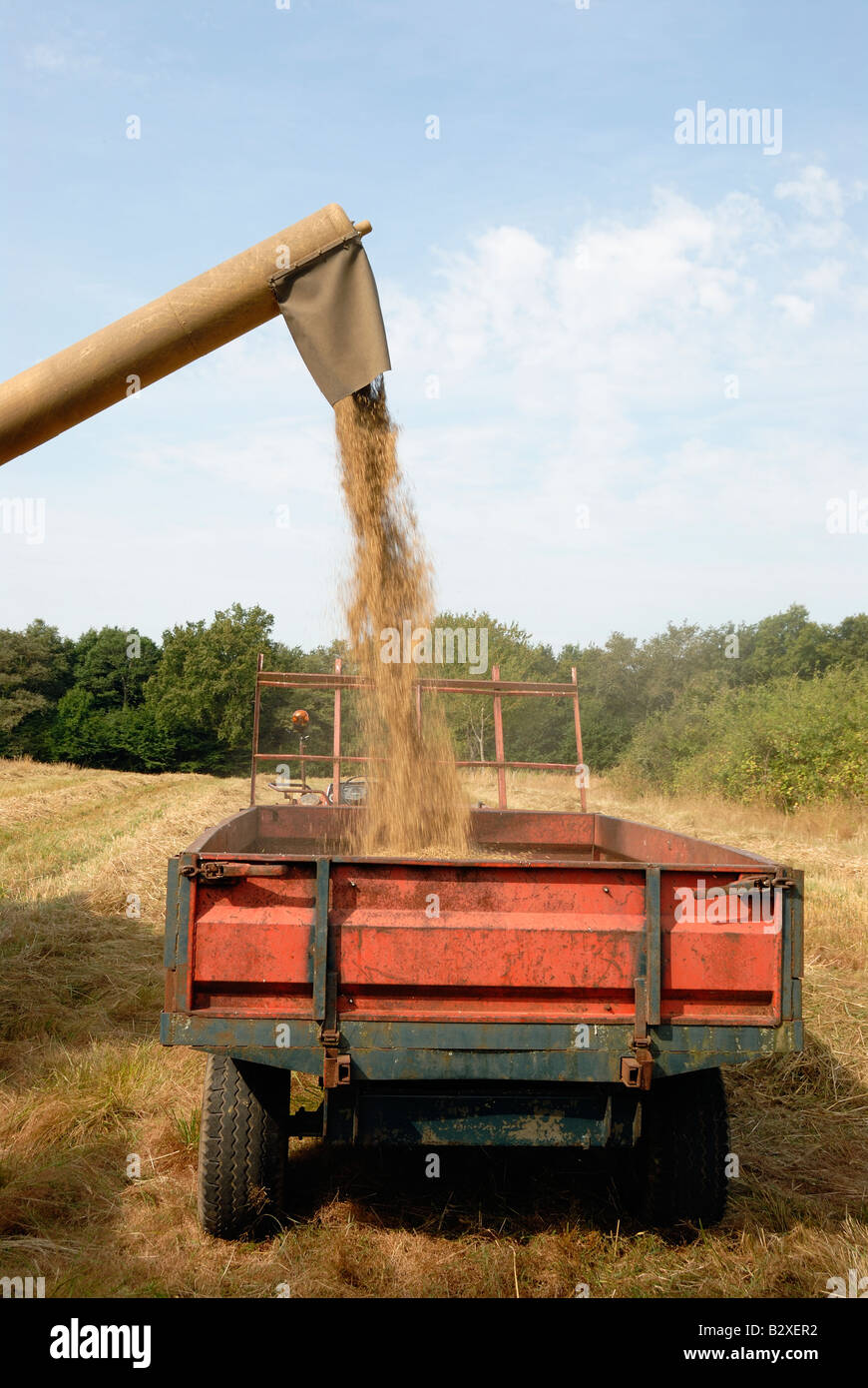 Grain chute hi-res stock photography and images - Alamy