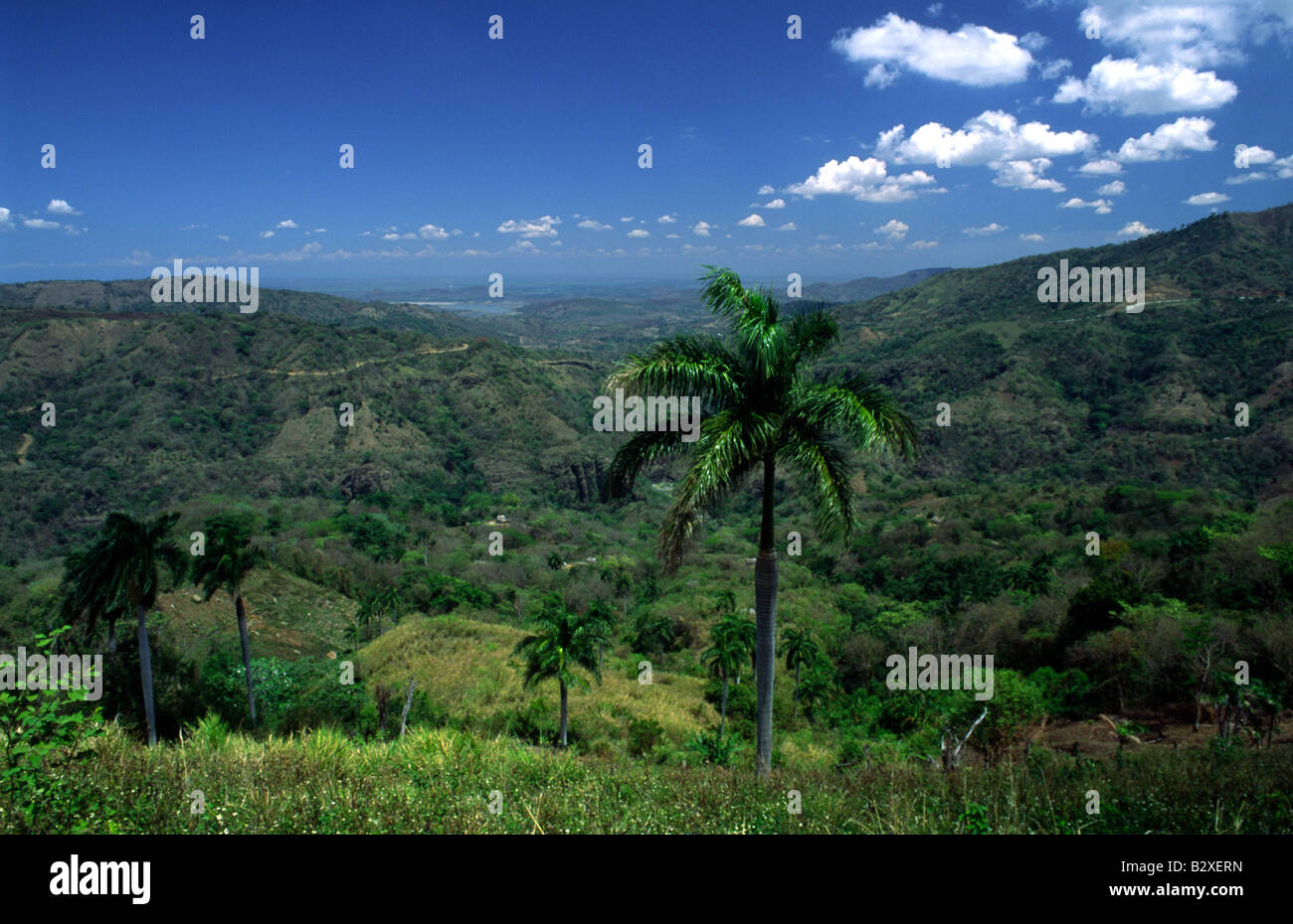 The lush scenery in the Sierra Maestra mountains in eastern Cuba Stock ...
