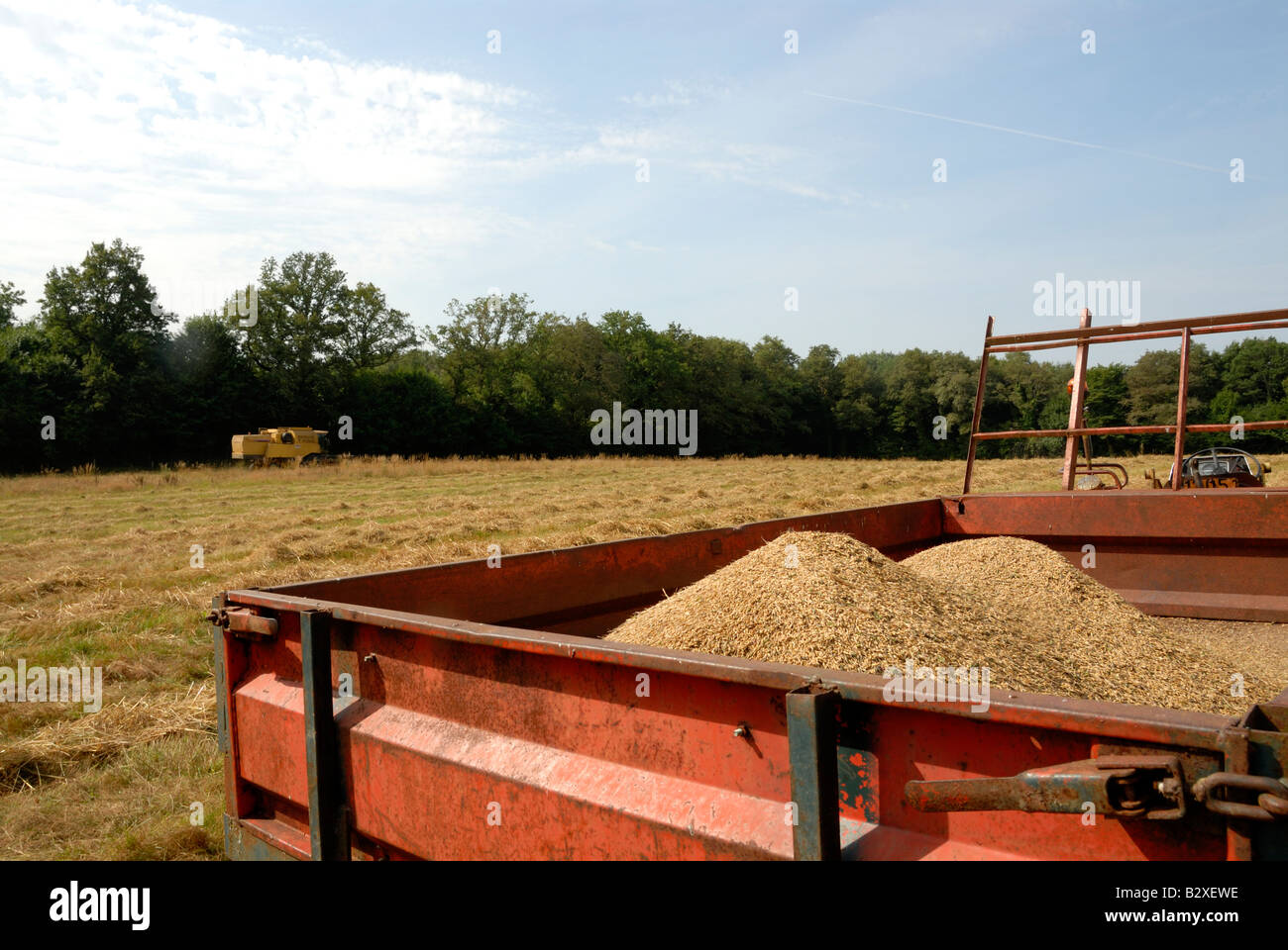 Farming wagon trailer piled hi-res stock photography and images - Alamy