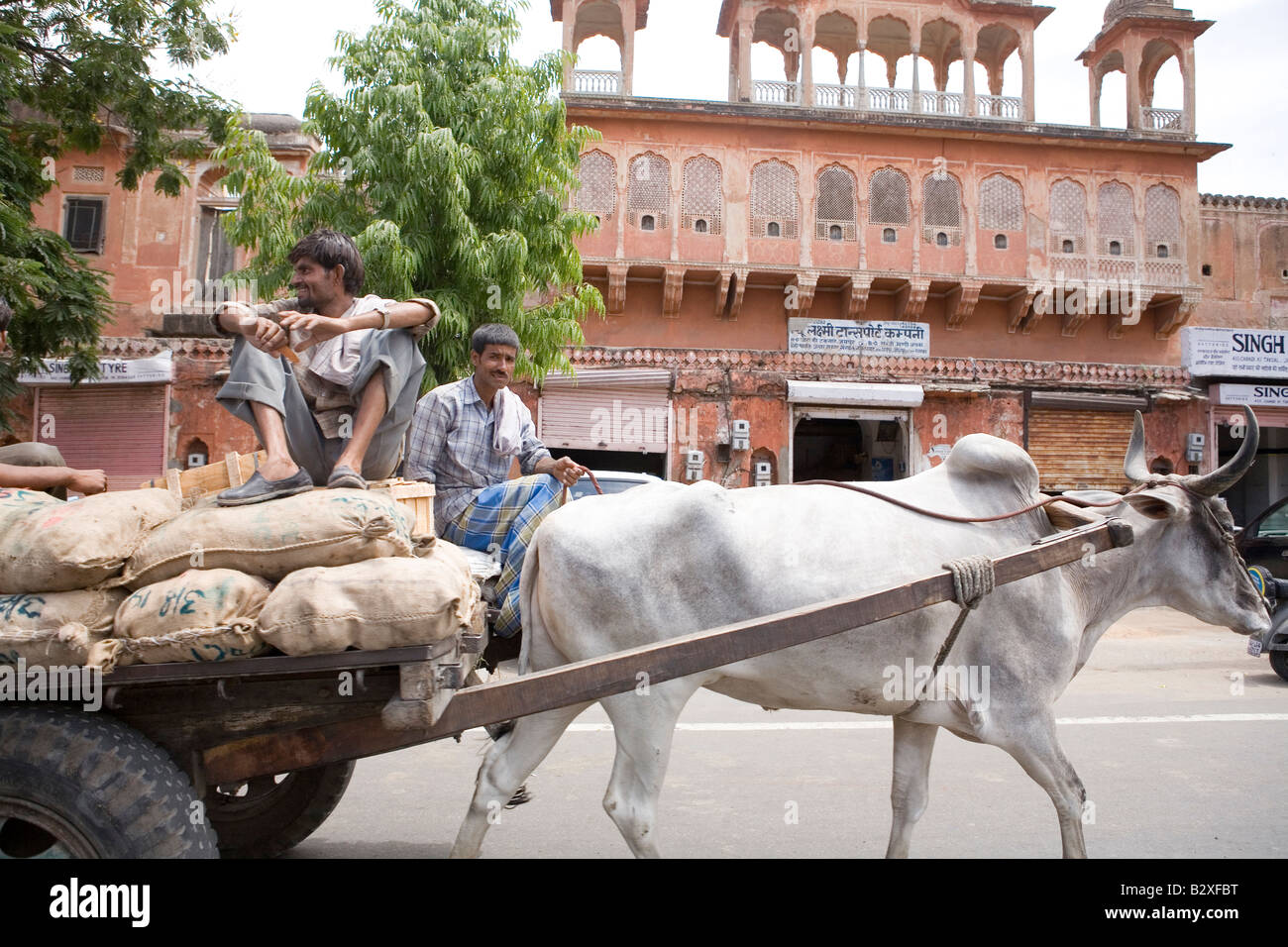 Street scene, Jaipur, Rajasthan, India Stock Photo - Alamy
