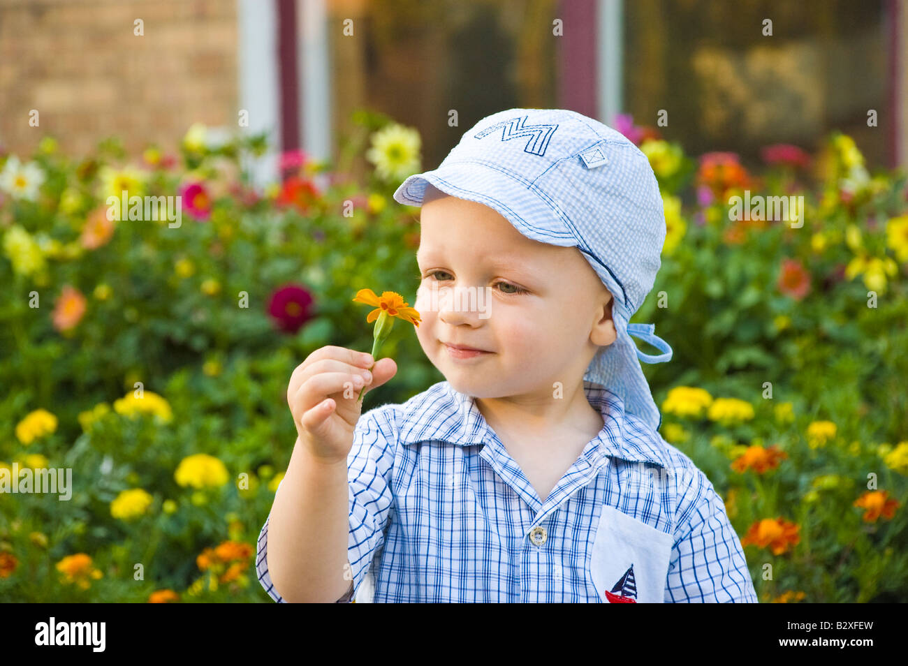 little boy picking flowers Stock Photo - Alamy
