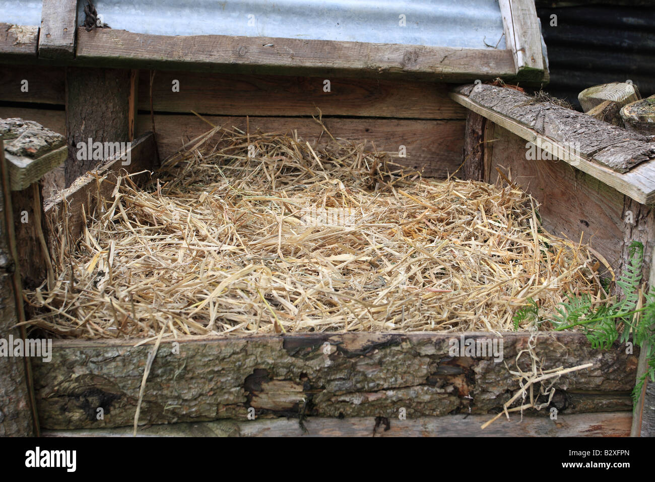 FILLING A COMPOST BIN ADDING STRAW Stock Photo - Alamy
