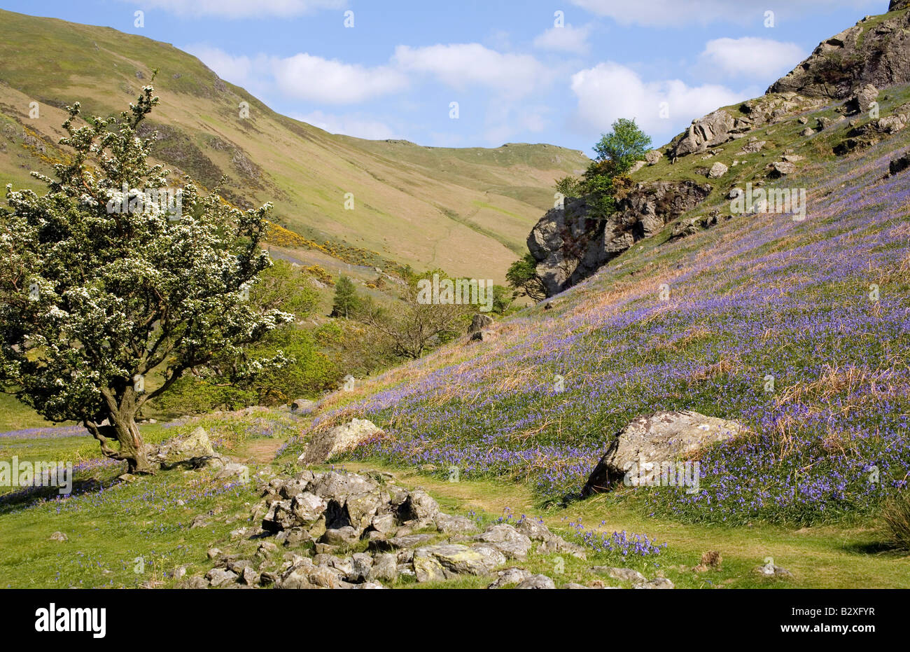 View from Rannerdale Secret Valley of the Bluebells Scenic Lake ...