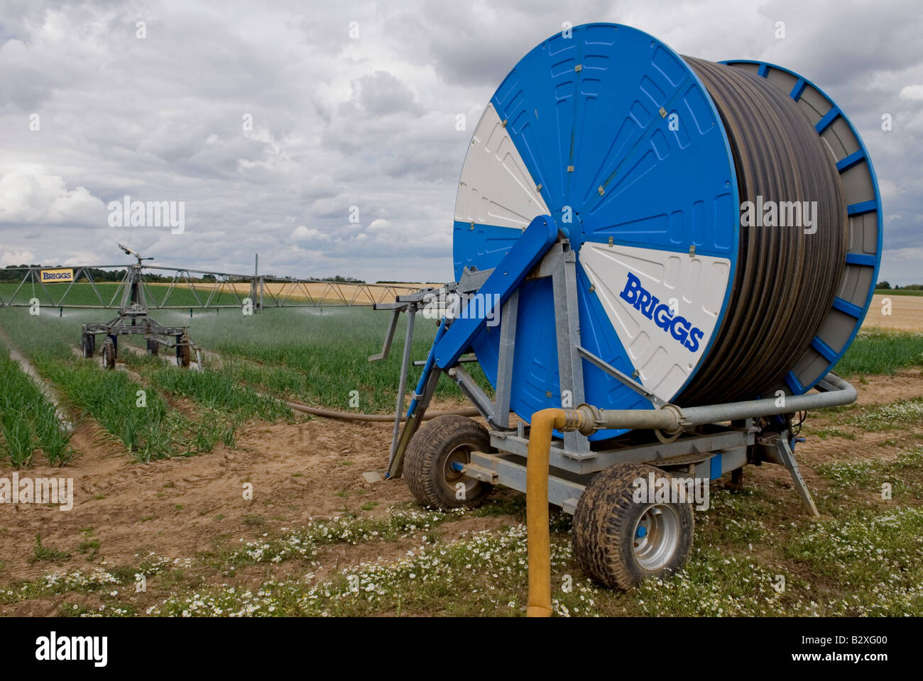 Briggs field hi-res stock photography and images - Alamy