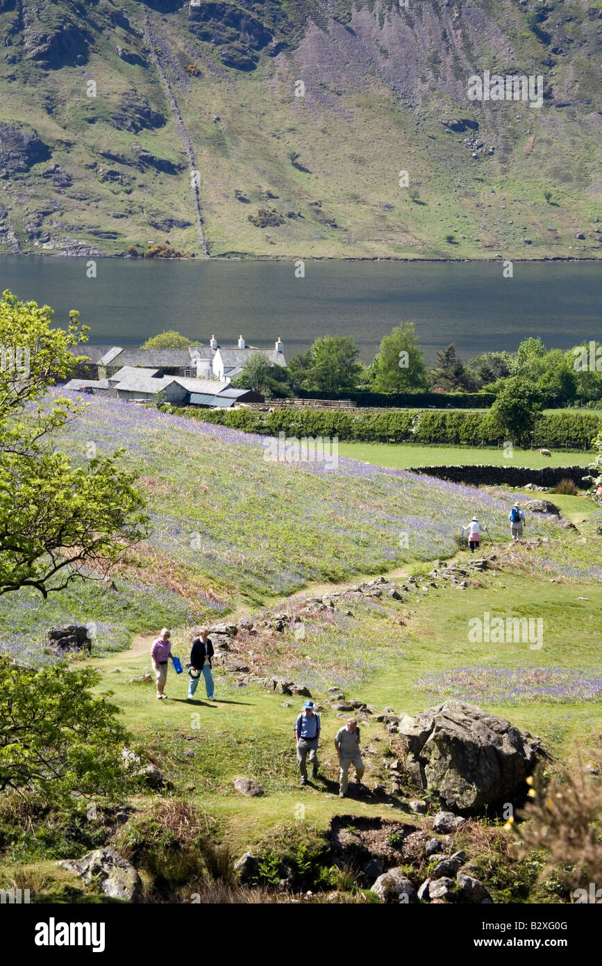 View from Rannerdale Secret Valley of the Bluebells Scenic Crummock ...
