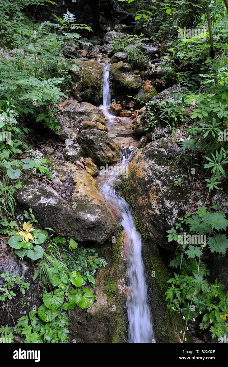 Bavarian mountain stream, Alps, Germany Stock Photo - Alamy