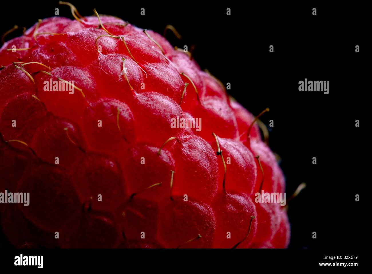 raspberry isolated on black close up photo Stock Photo - Alamy